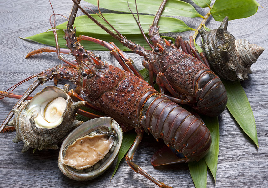 BBQ & Breakfast | TAVISTAR｜南房総白浜｜星空のグランピングリゾート