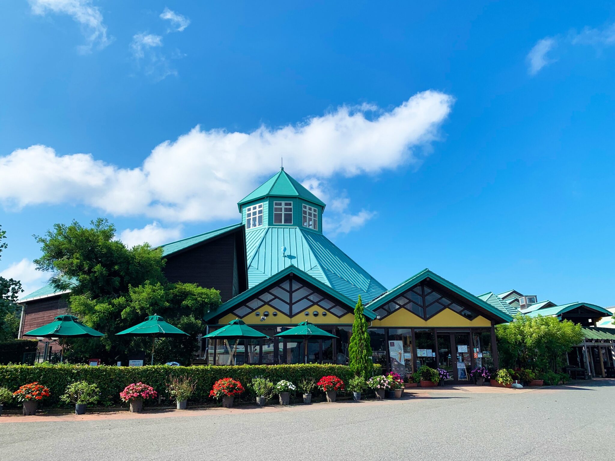 for Bikers & Cyclists | TAVISTAR｜千葉県南房総白浜｜星空グランピングリゾート